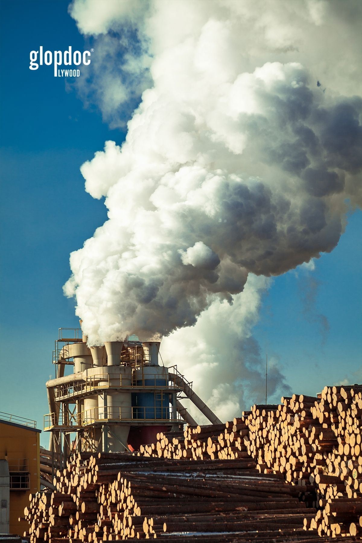 Birch Combi Film Faced Plywood